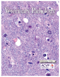Veterinary Pathology Journal – ACVP.org